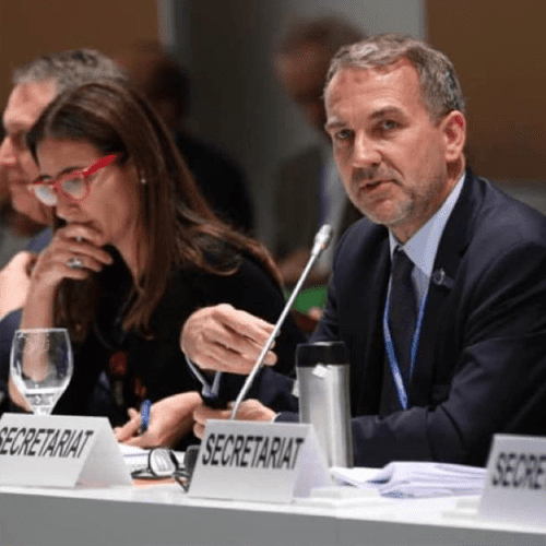 Martin Frick - iGiveTrees - Solutions Activism